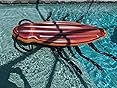 Amazon.com: Coconut Float Gigantic 70" Cockroach Inflatable Raft & Pool ...