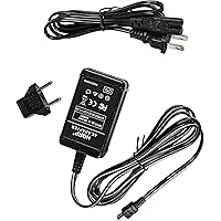Amazon.com: HQRP Replacement AC Adapter/Power Supply Compatible with Sony CyberShot DSC-L1, DSC ...