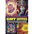 The Illustrated Field Guide to DMT Entities: Machine Elves, Tricksters, Teachers, and Other ...