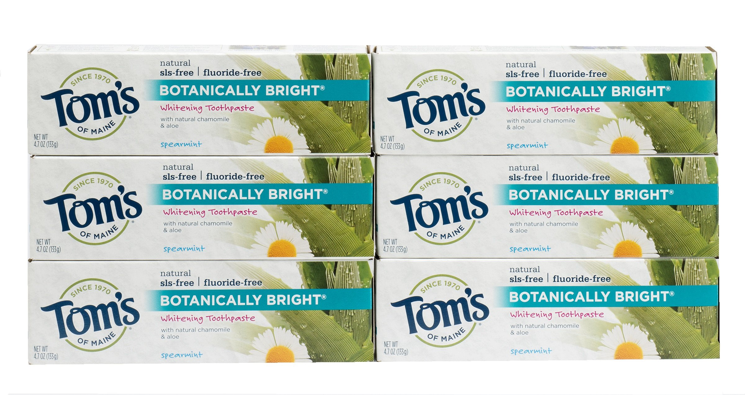 Amazon.com : Tom's of Maine Natural Fluoride Free Botanically Bright ...