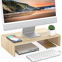 LORYERGO Monitor Stand, Monitor Riser, 2 Tier Computer Stand, Monitor ...