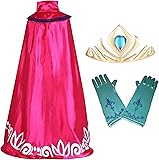 Amazon.com: Frozen Elsa Coronation Set Costume, Fits Sizes 4-6X: Toys ...