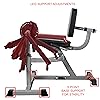 Valor Fitness Leg Extension and Leg Curl Machine - Adjustable - 8 Thigh ...