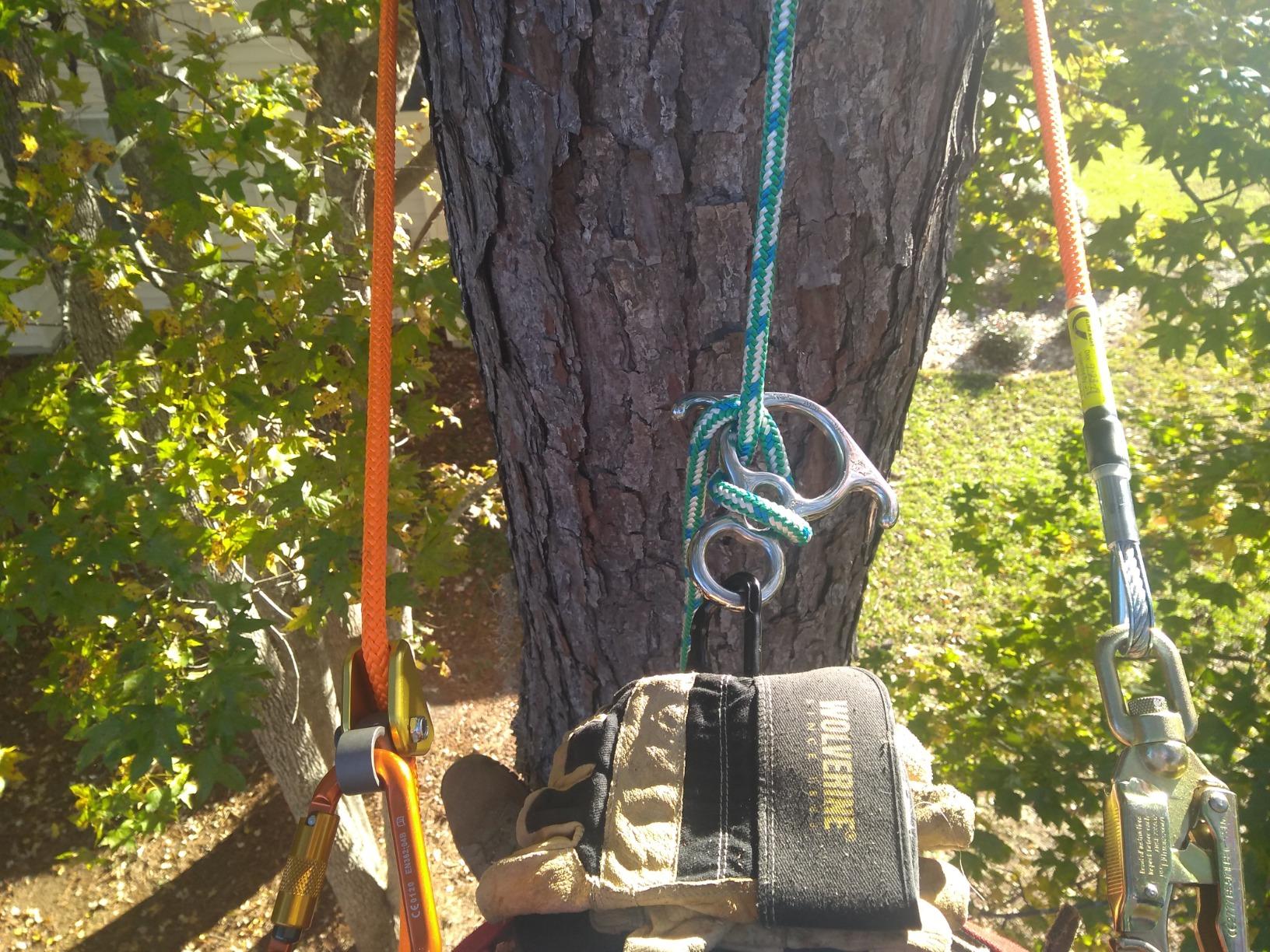 $9/mo - Finance ProClimb 50 kN Rescue Figure 8 Descender - Stainless ...