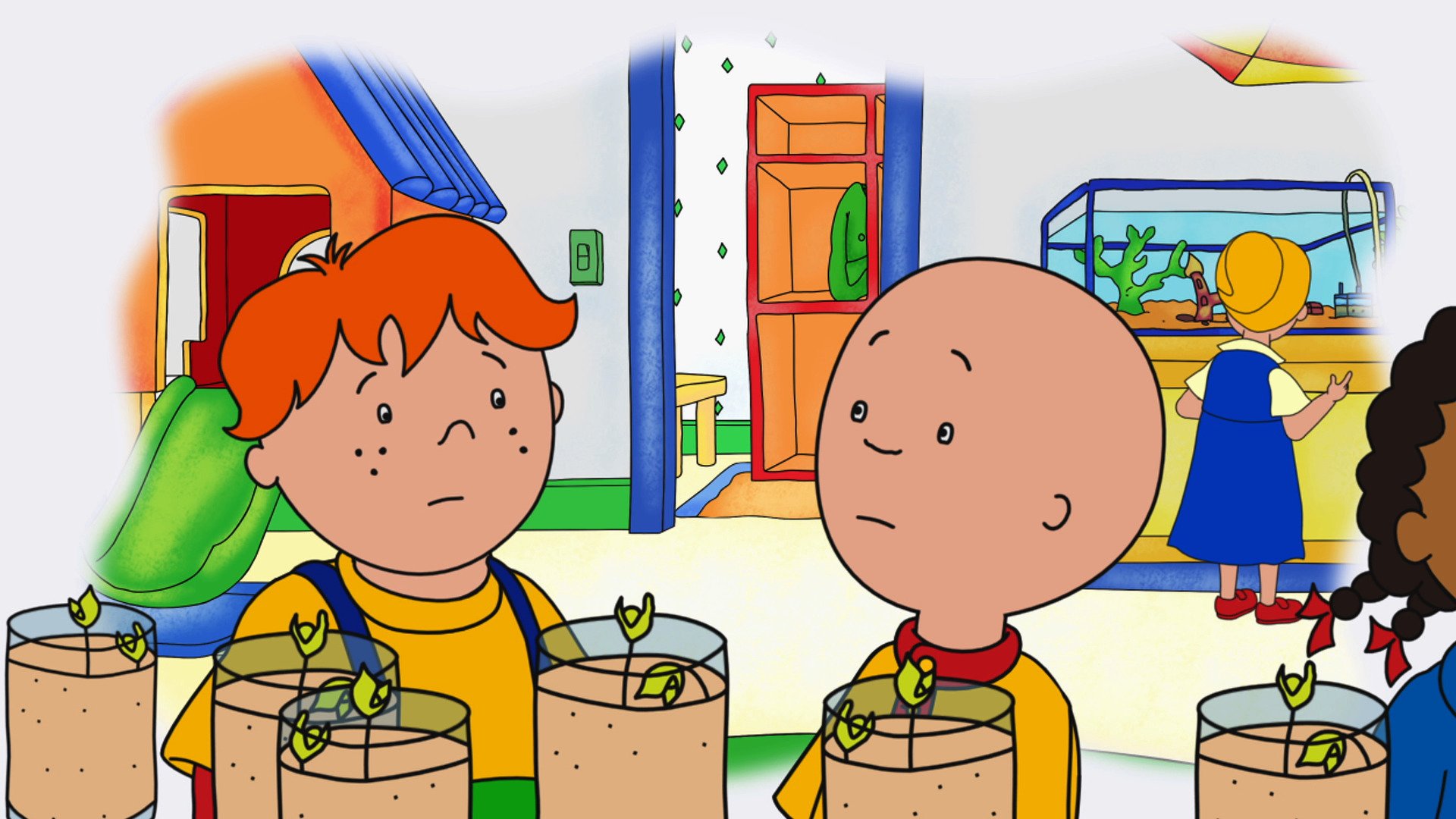 Watch _DUPLICATE_Caillou, Season 5 | Prime Video