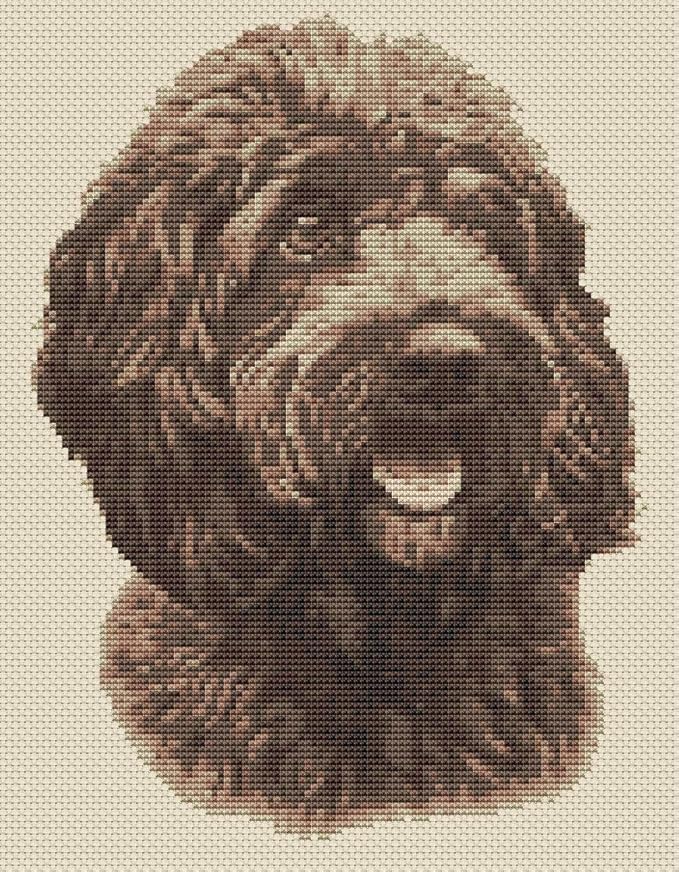 Dark Cockapoo (Sepia) Cross Stitch Kit by Elite Designs: Amazon.co.uk ...