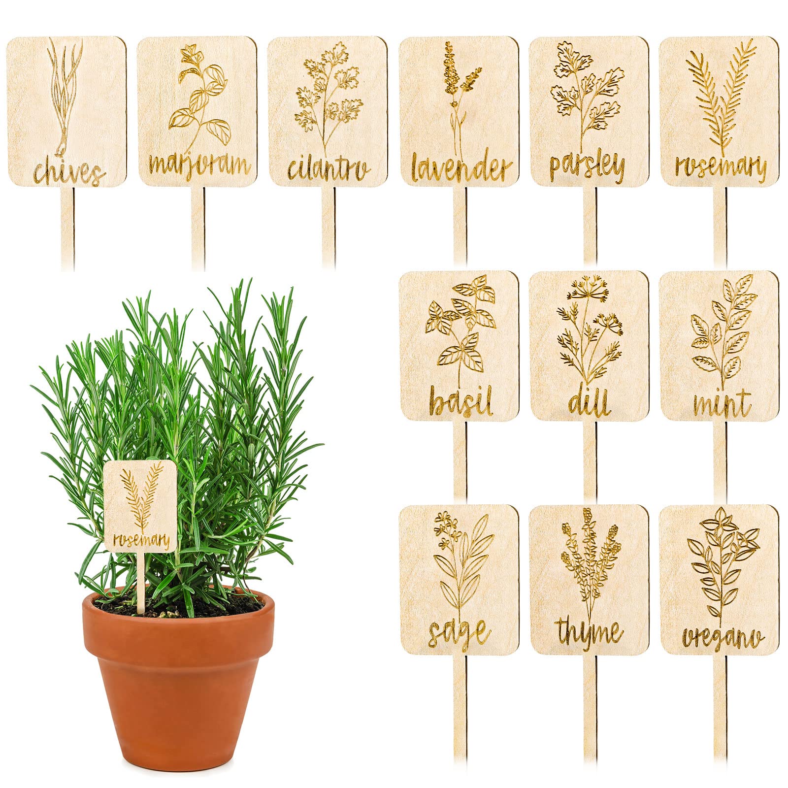 Whaline 24Pcs Wooden Plant Labels Sign Planted Herb Markers Garden ...