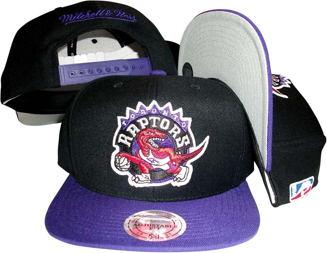 Amazon.com: Toronto Raptors Black/Purple Two Tone Snapback Adjustable ...
