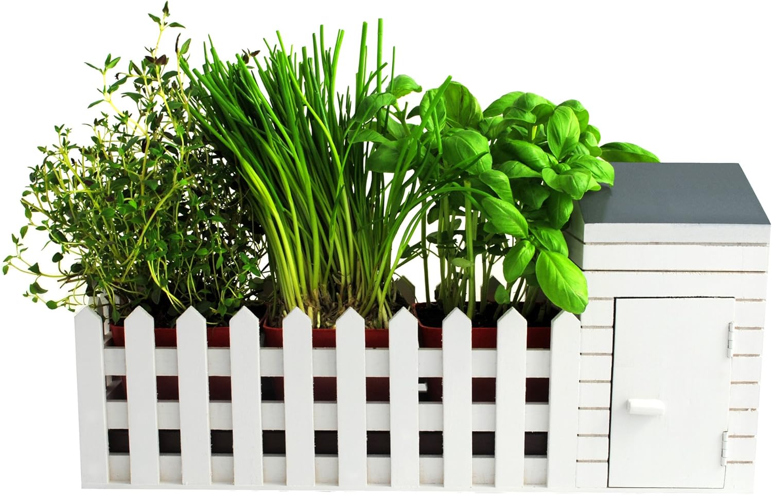 Oliphant Indoor Allotment Gift Set Herb Garden – BigaMart