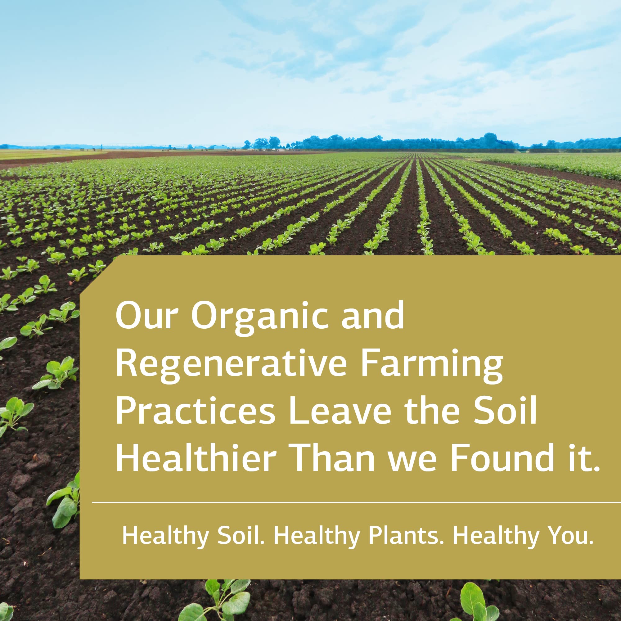 Mua Standard Process Renafood - Whole Food Kidney Health Supplement for ...