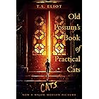 Old Possum's Book of Practical Cats (with full-color illustrations ...
