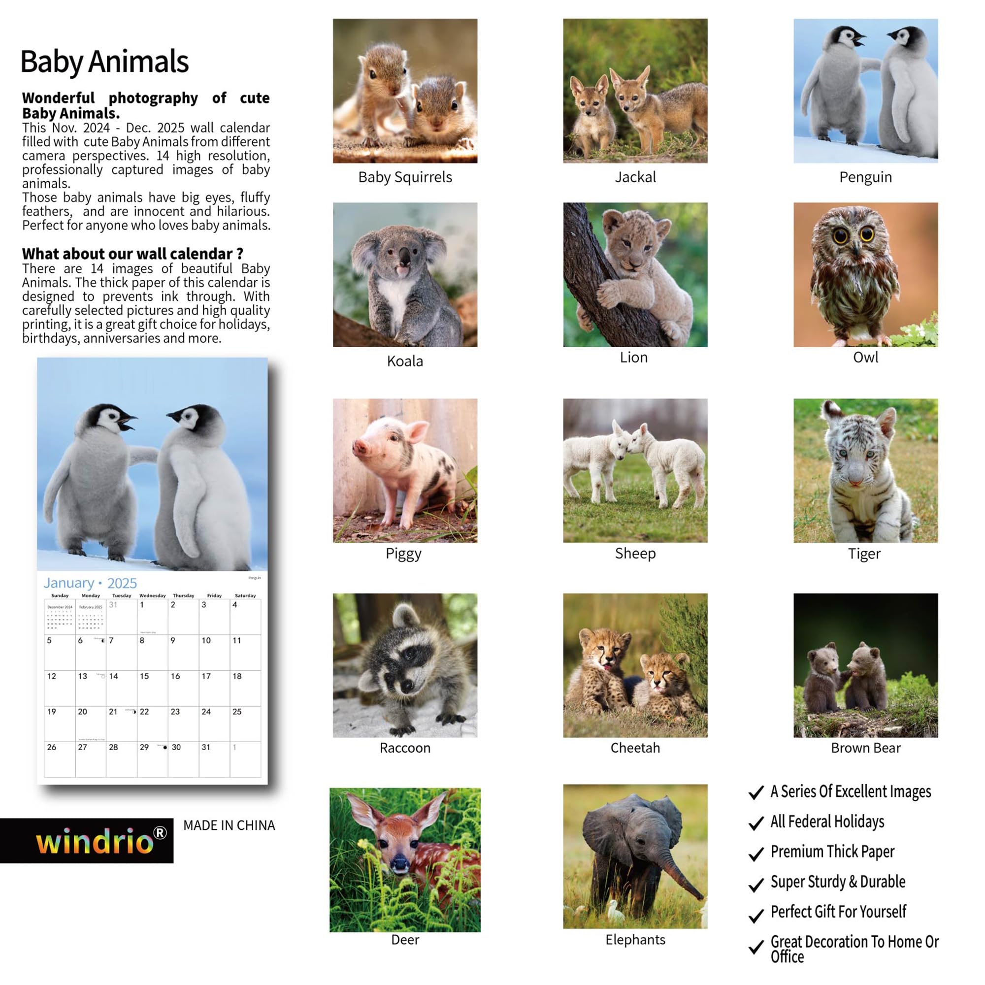 Mua 2025 Wall Calendar,Calendar 2025, November 2024 - December 2025 ...