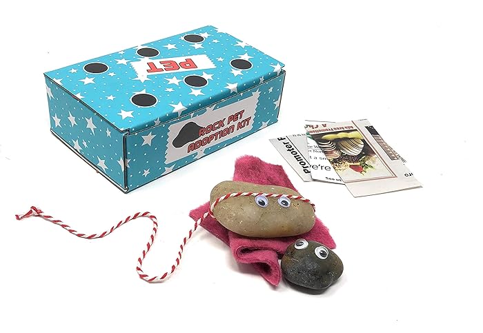 Amazon.com: Rock Pet Adoption Kit with Googly Eyes and Dolly: Handmade