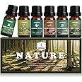 Amazon.com: Nature Essential Oils Set, ARVIDSSON Natural Fragrance Oils for Candle Making, Fresh ...