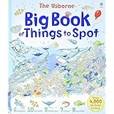 Very First Book of Things to Spot: Fiona Watt: 9781409581574: Amazon ...