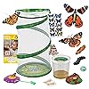 Insect Lore Butterfly Garden - 8" Habitat | 1 Cup of Live Baby ...