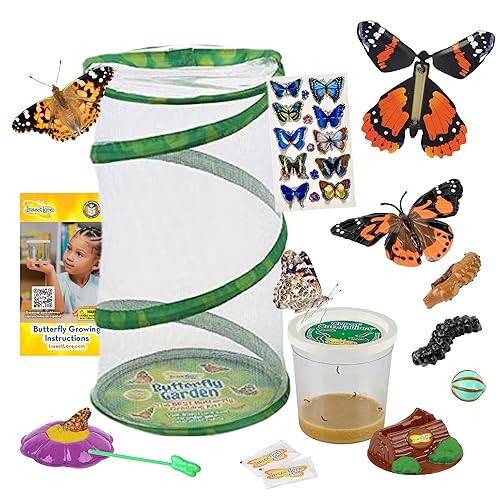 Insect Lore Butterfly Garden - 8" Habitat | 1 Cup of Live Baby ...