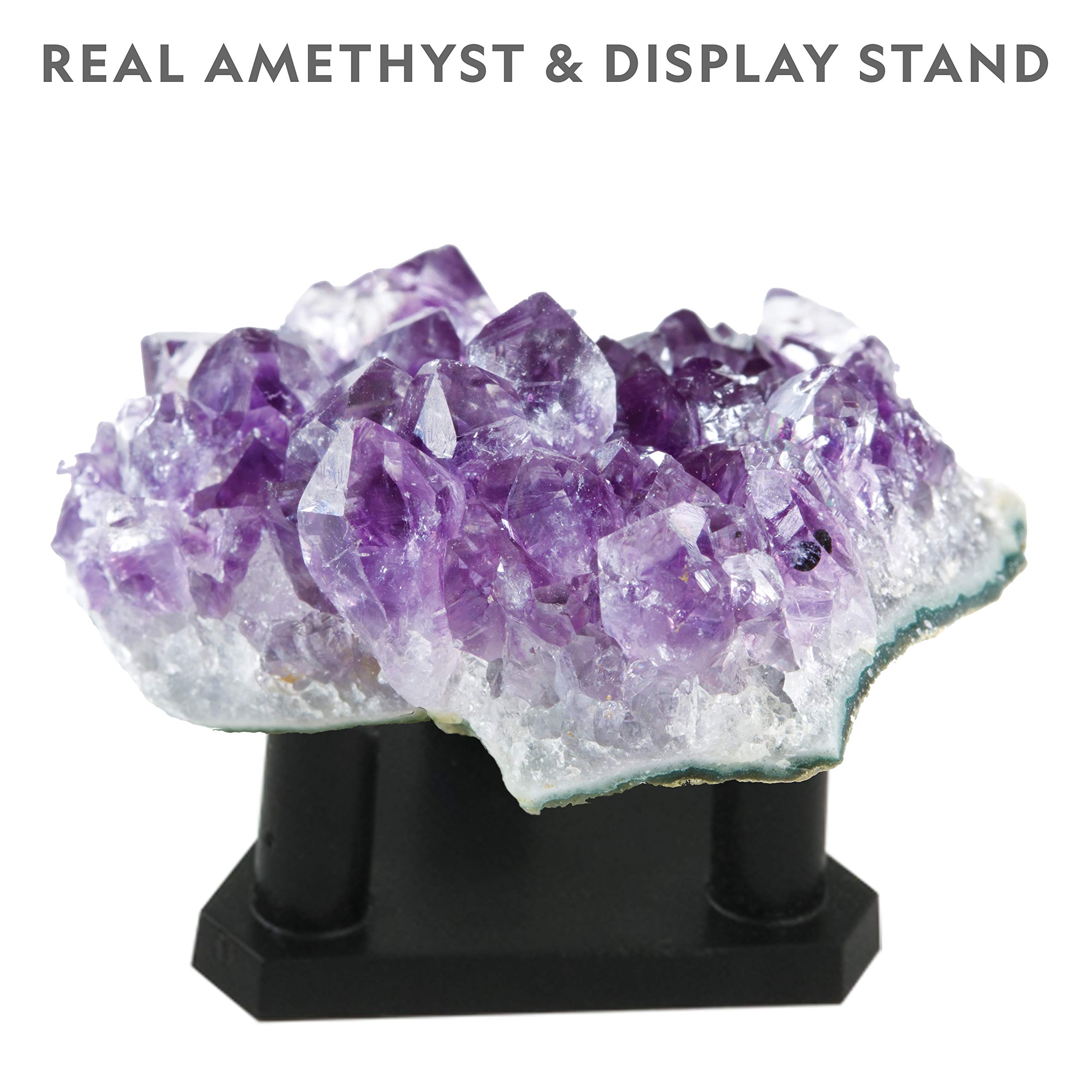Mua NATIONAL GEOGRAPHIC Purple Crystal Growing Lab - DIY Crystal ...