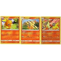 Pokemon Torchic Evolution