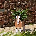 Amazon.com : Suitchoi Goat Gifts: Cute Animal Flower Pots, Goat Shape ...