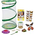 Amazon.com: Insect Lore Butterfly Garden Gift Set | 8" Habitat with ...