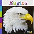 Seedlings: Eagles: Riggs, Kate: 9781628320411: Amazon.com: Books