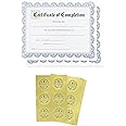 Amazon.com : Certificate of Completion Award and Seal Stickers (Blue, 8 ...