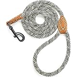 Amazon.com : Mile High Life | Double Dogs Leash | Dog Slip Rope Lead ...