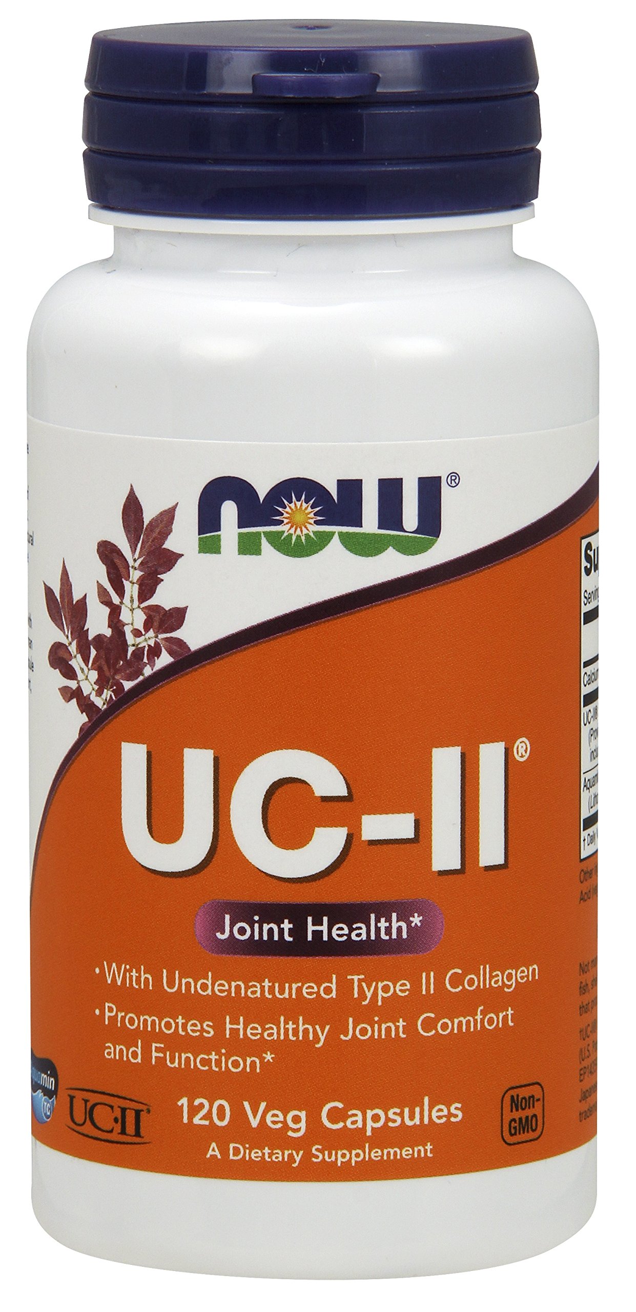 Amazon.com: Source Naturals UC-II, Undenatured Collagen Joint Comfort ...