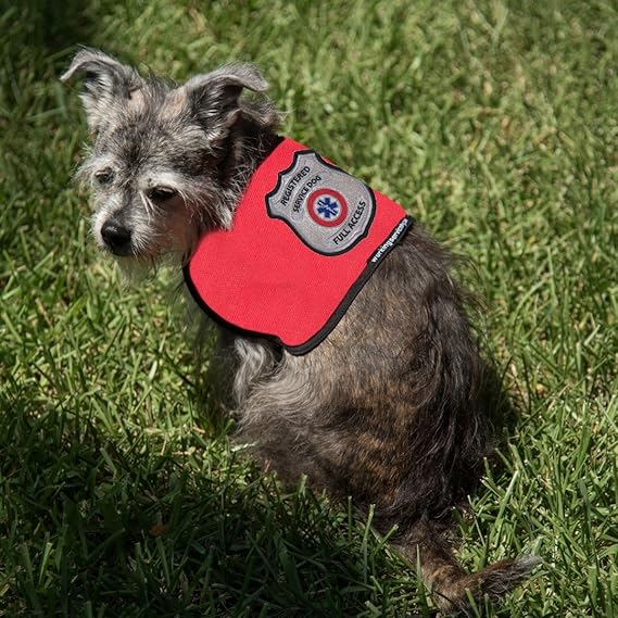 Amazon.com : Registered Service Dog Vest - for Smaller Service Dogs (X ...