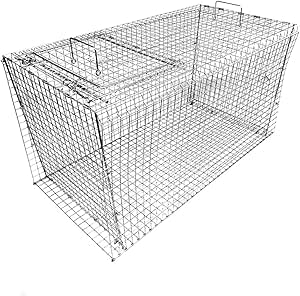 Amazon.com : Tomahawk Collapsible Live Fish Box : Home Pest Control ...