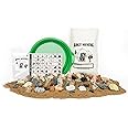Amazon.com: Kolt Mining Activity Dig Kit – Emeralds and Gemstone Mix ...