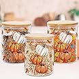 Amazon.com: JarThenaAMCS 3Pcs Fall Thanksgiving Glass Storage Jars with ...