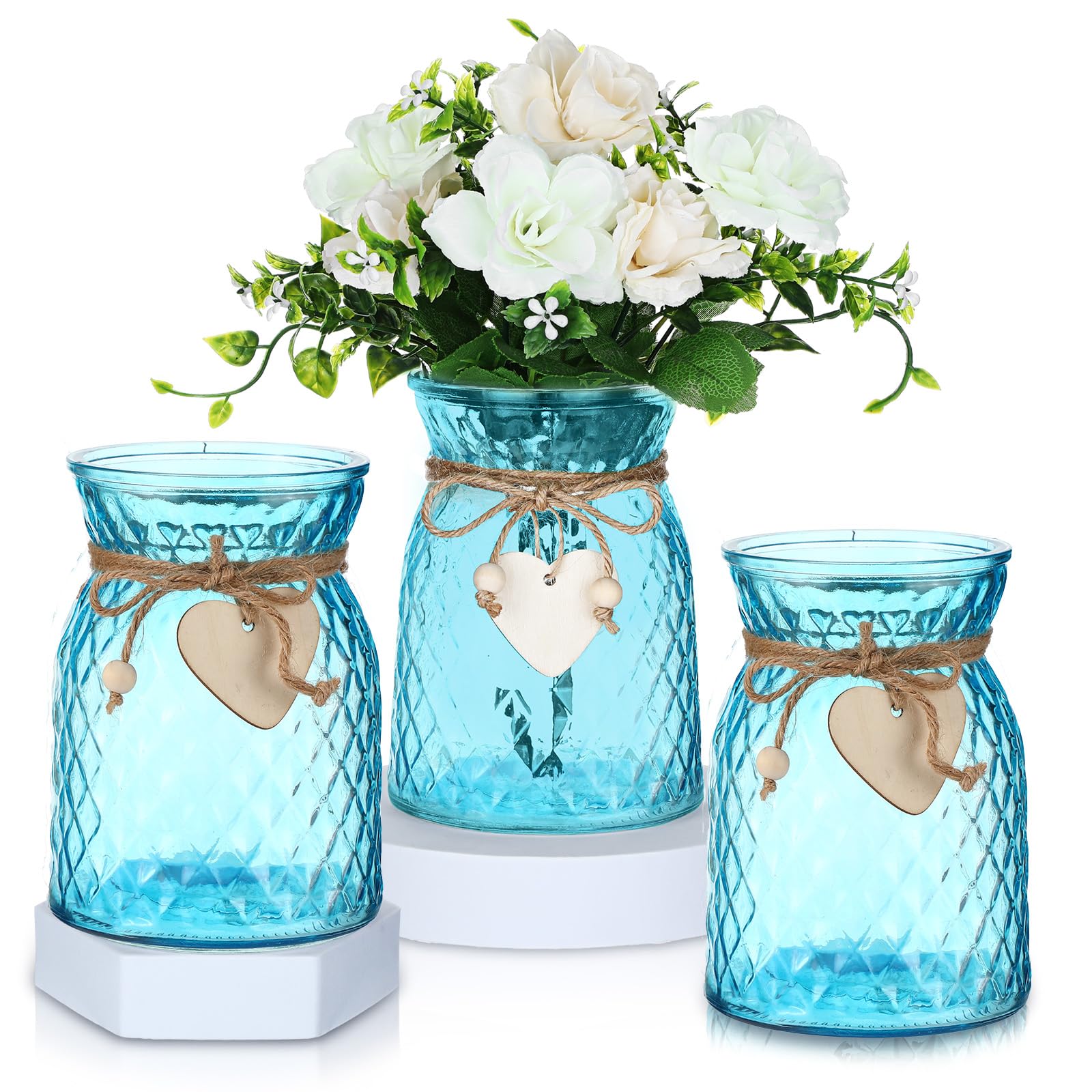 Tiangrid 3 Pcs Glass Bud Vases with Twine Rope and Heart Label 6.3 Inch ...