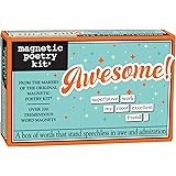 Amazon.com: Magnetic Poetry - Happiness Kit - Words for Refrigerator ...