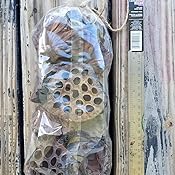 Amazon.com: Keystone Wholesale Dried Brown Lotus Pods - Approx. 8 Large ...