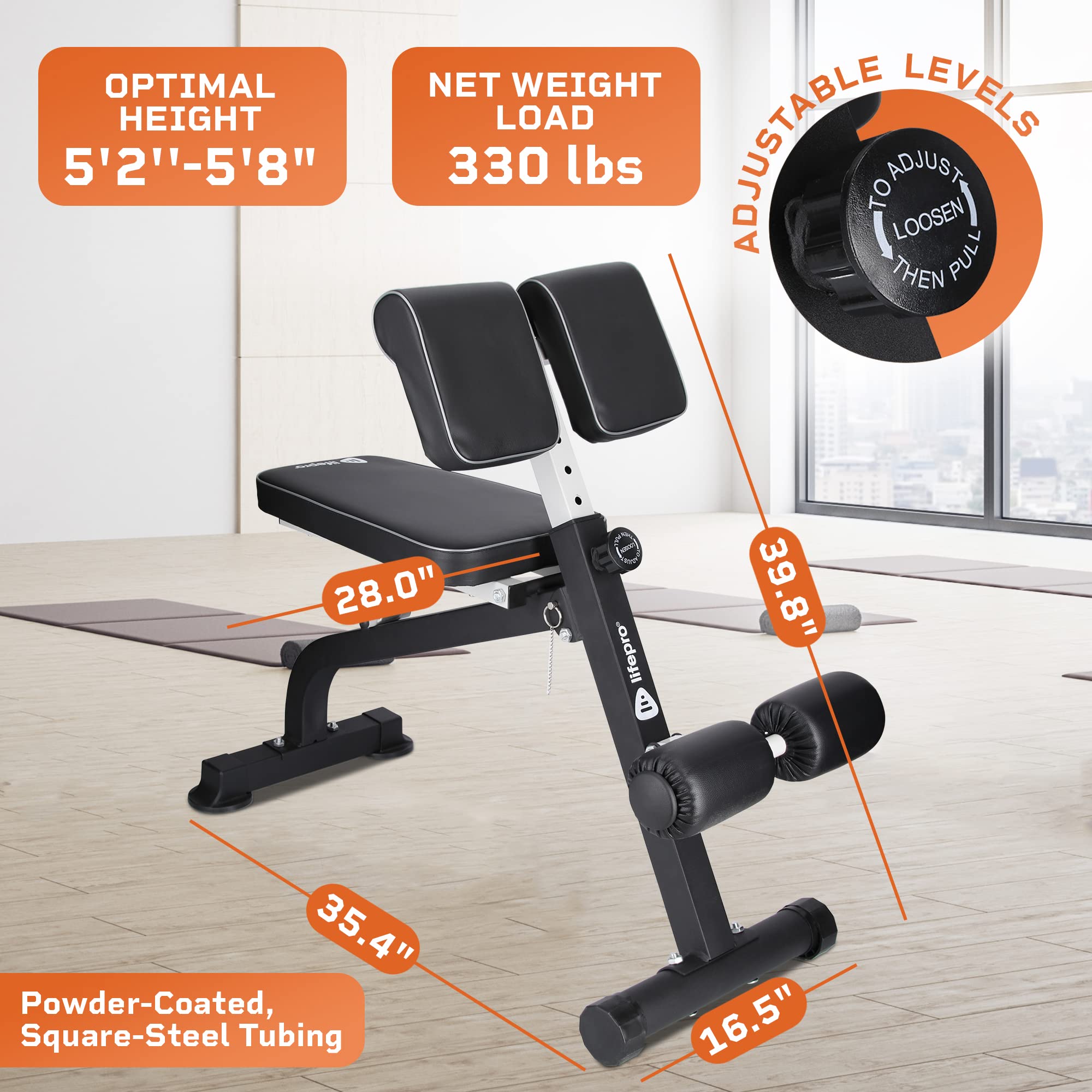 Mua Roman Chair Hyperextension Bench, Back Extension Bench Machine for ...