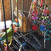 Amazon.com : Super Bird Creations SB741 Seagrass Mini Activity Wall ...