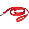 Amazon.com : PetSafe Nylon Dog Leash – Strong, Durable, Traditional ...