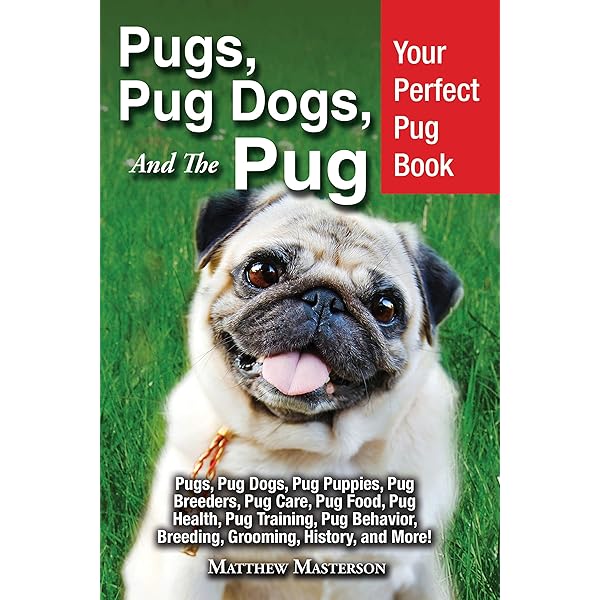 Perfect Pug | atelier-yuwa.ciao.jp