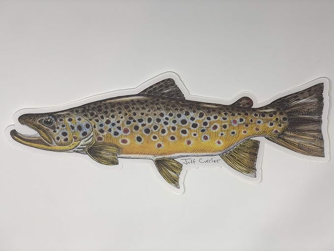 Amazon.com: Trout & Fish Stickers - Fly Fishing Decals Designed by ...
