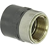 GF Piping Systems PVC to Brass Transition Pipe Fitting, Adapter ...