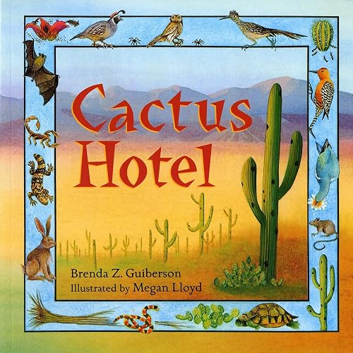 Cactus Hotel (Rise and Shine) in Oman | Whizz Flowers & Plants