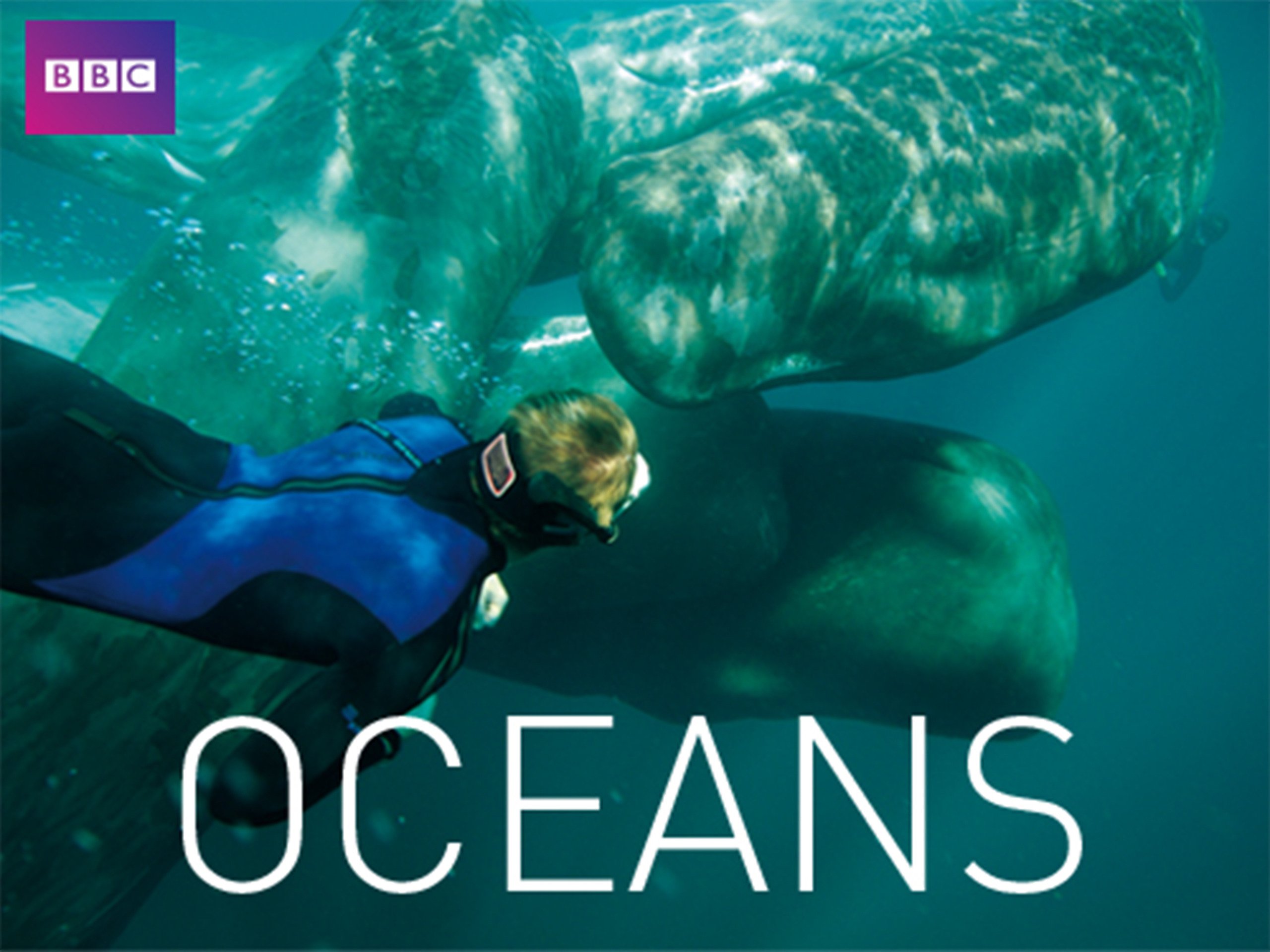 Watch Oceans - Season 1 | Prime Video