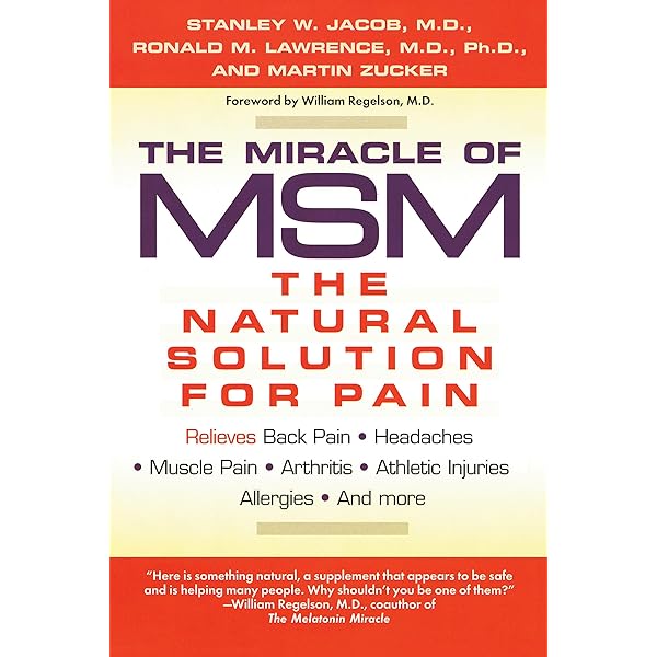 What Is Msm The Complete Guide To Msm