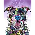 Amazon.com : Pit Bull 9 - Best of Breed Dean Russo Garden Flag 12" x 17" : Patio, Lawn & Garden