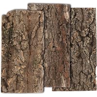 Amazon.com : Ipetboom 3 Pcs Cork Terrarium Background Reptile Bark ...