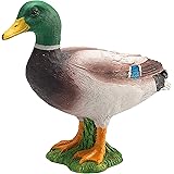 Amazon.com: Collecta Male Mallard Duck : Toys & Games