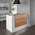 Amazon.com: UGOS ICN 53 Inch Contemporary Reception Desk ...