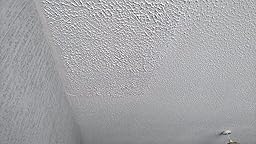 Artex Stipple Brush Stippler Stippling Hand Tools 6"x4": Amazon.co.uk ...